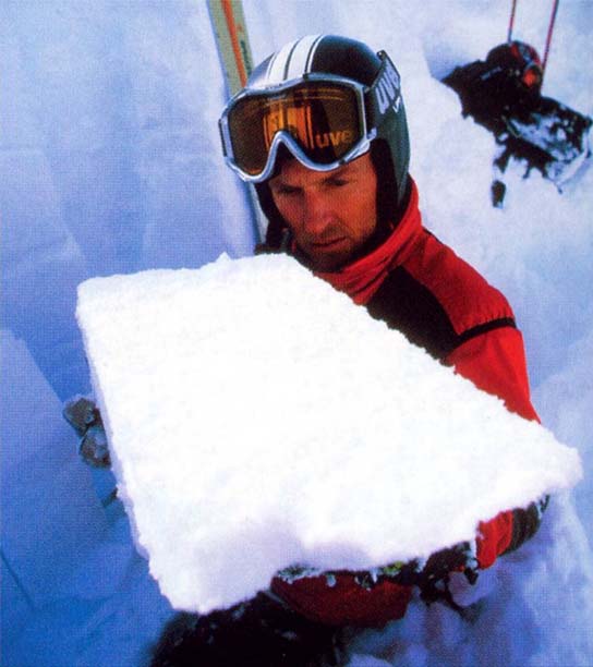 Lindy Roy | ALASKA RENDEZVOUS LODGE