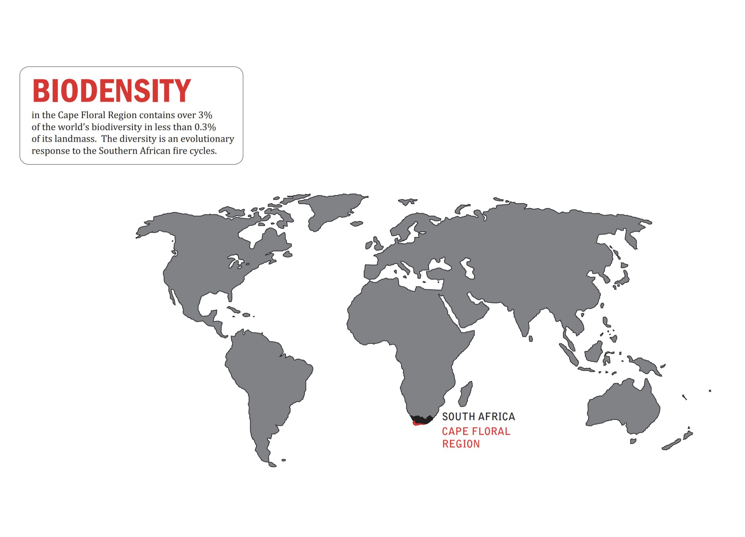 Lindy Roy | SARAH BARTMANN CENTRE OF REMEMBRANCE