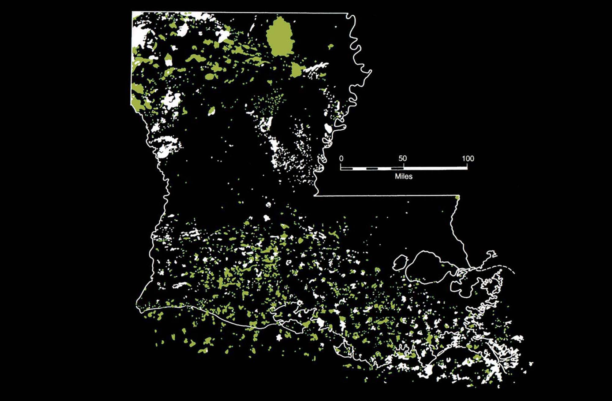 Lindy Roy | CANCER ALLEY