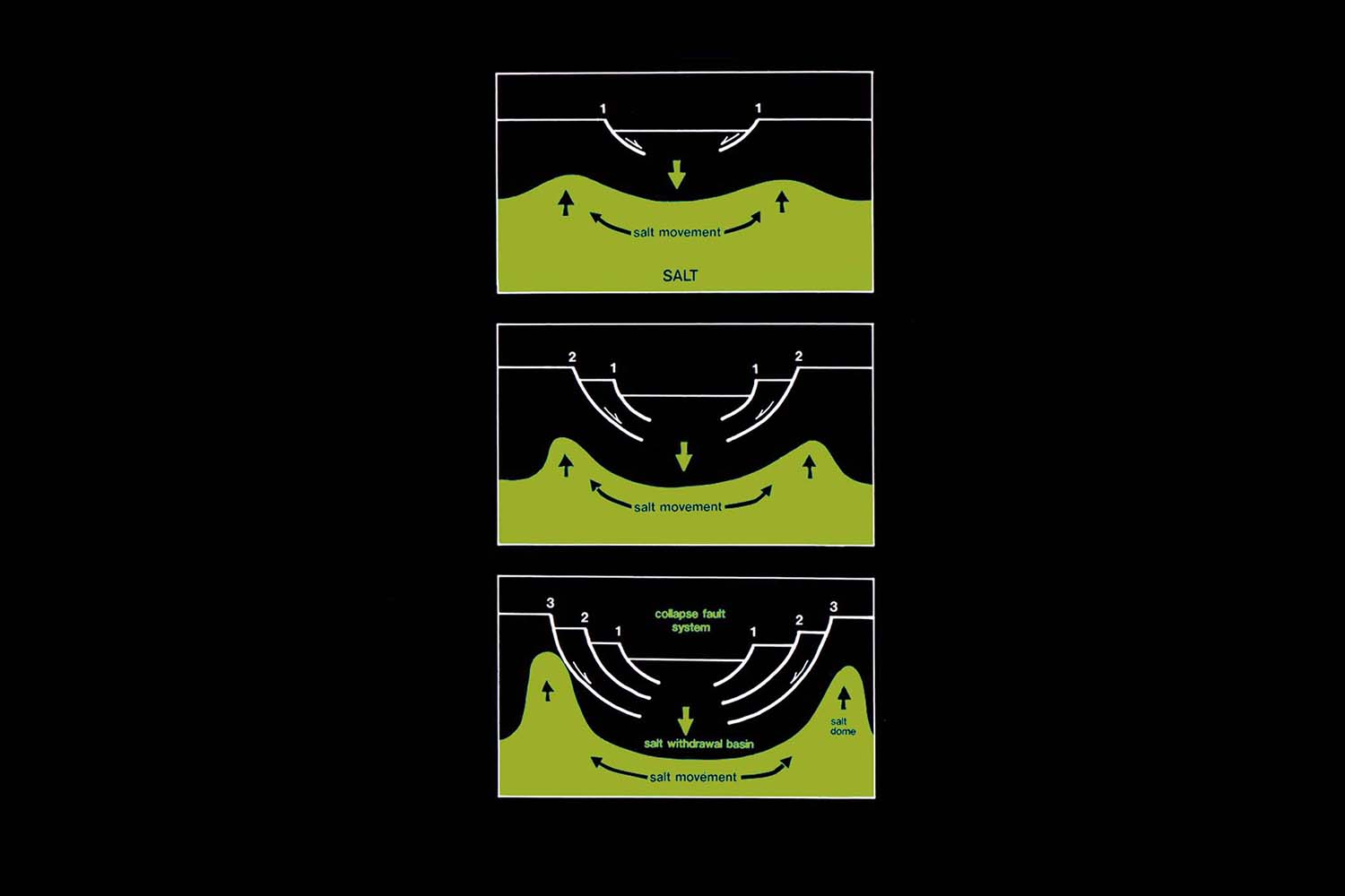 Lindy Roy | CANCER ALLEY