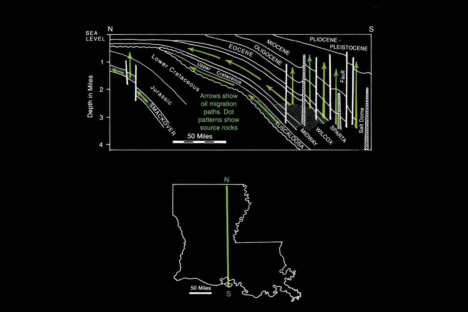 Lindy Roy | CANCER ALLEY