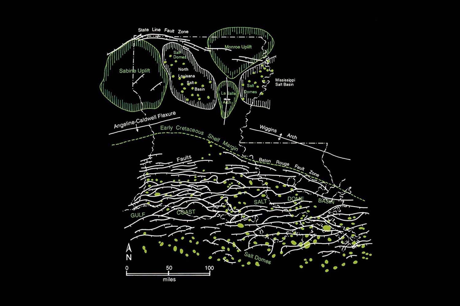 Lindy Roy | CANCER ALLEY