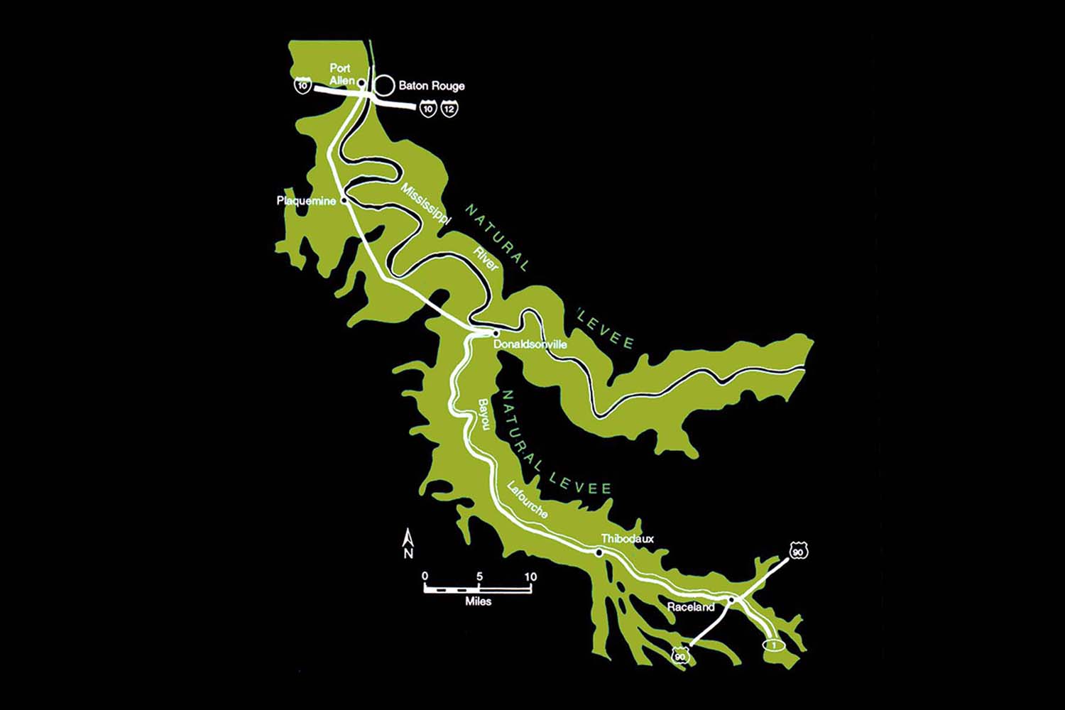 Lindy Roy | CANCER ALLEY