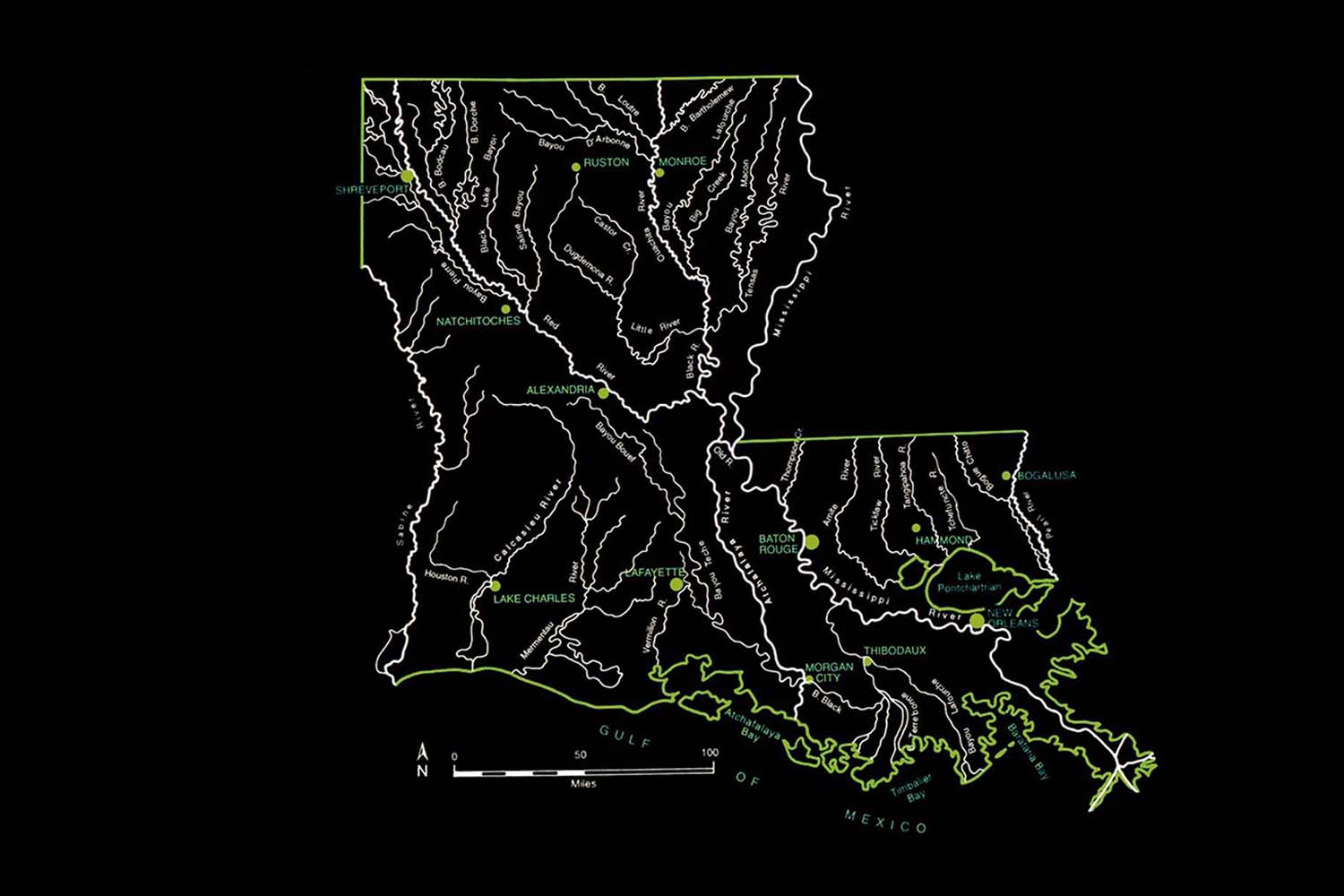 Lindy Roy | CANCER ALLEY