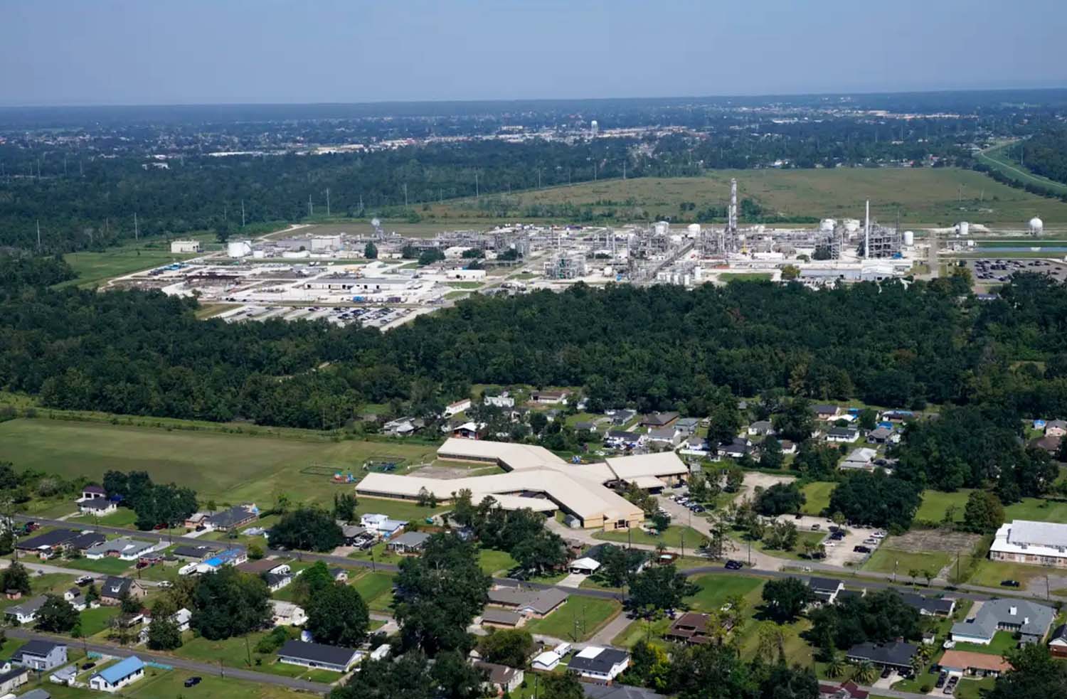 Lindy Roy | CANCER ALLEY