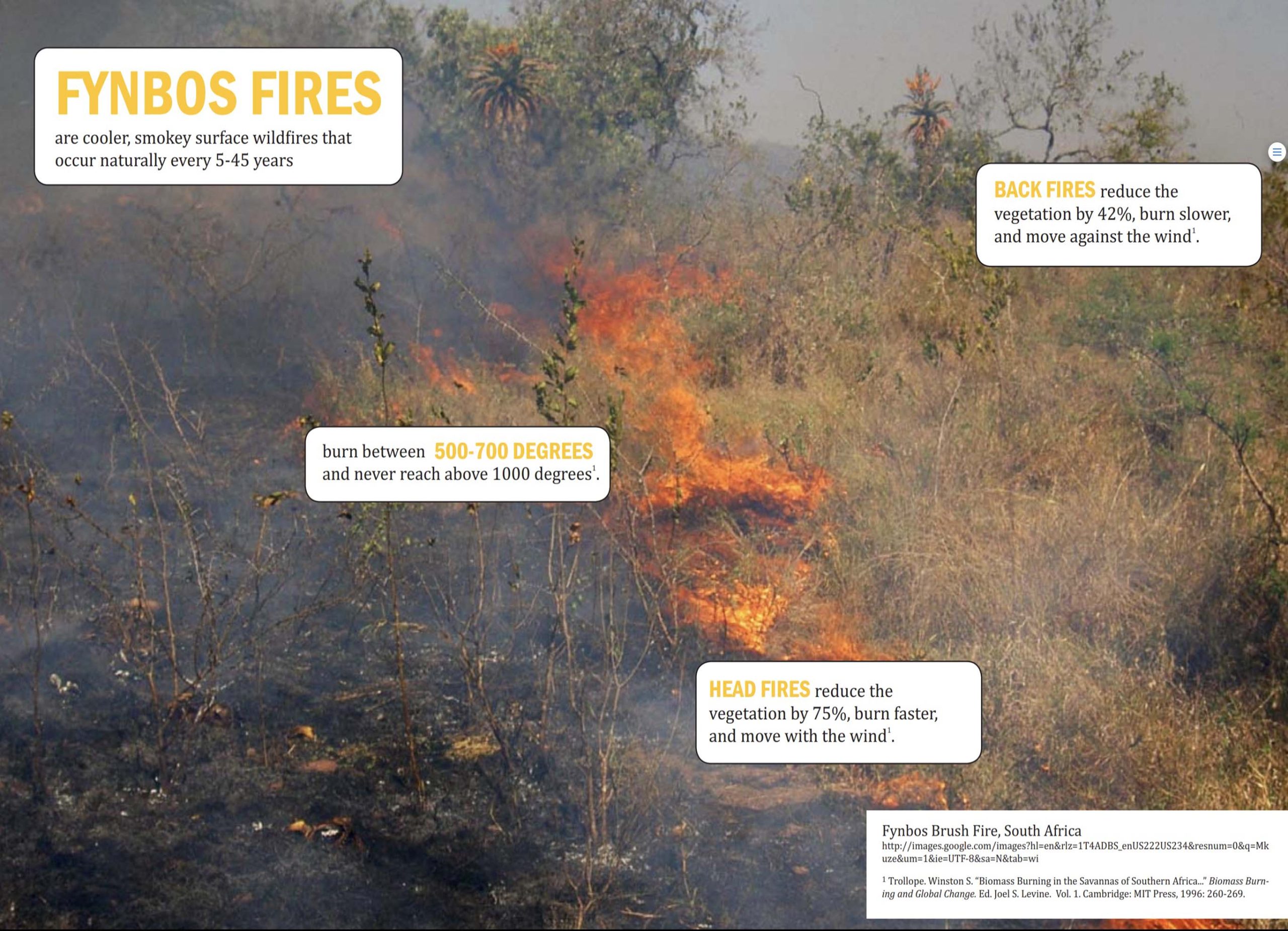 Lindy Roy | SARAH BARTMANN CENTRE OF REMEMBRANCE