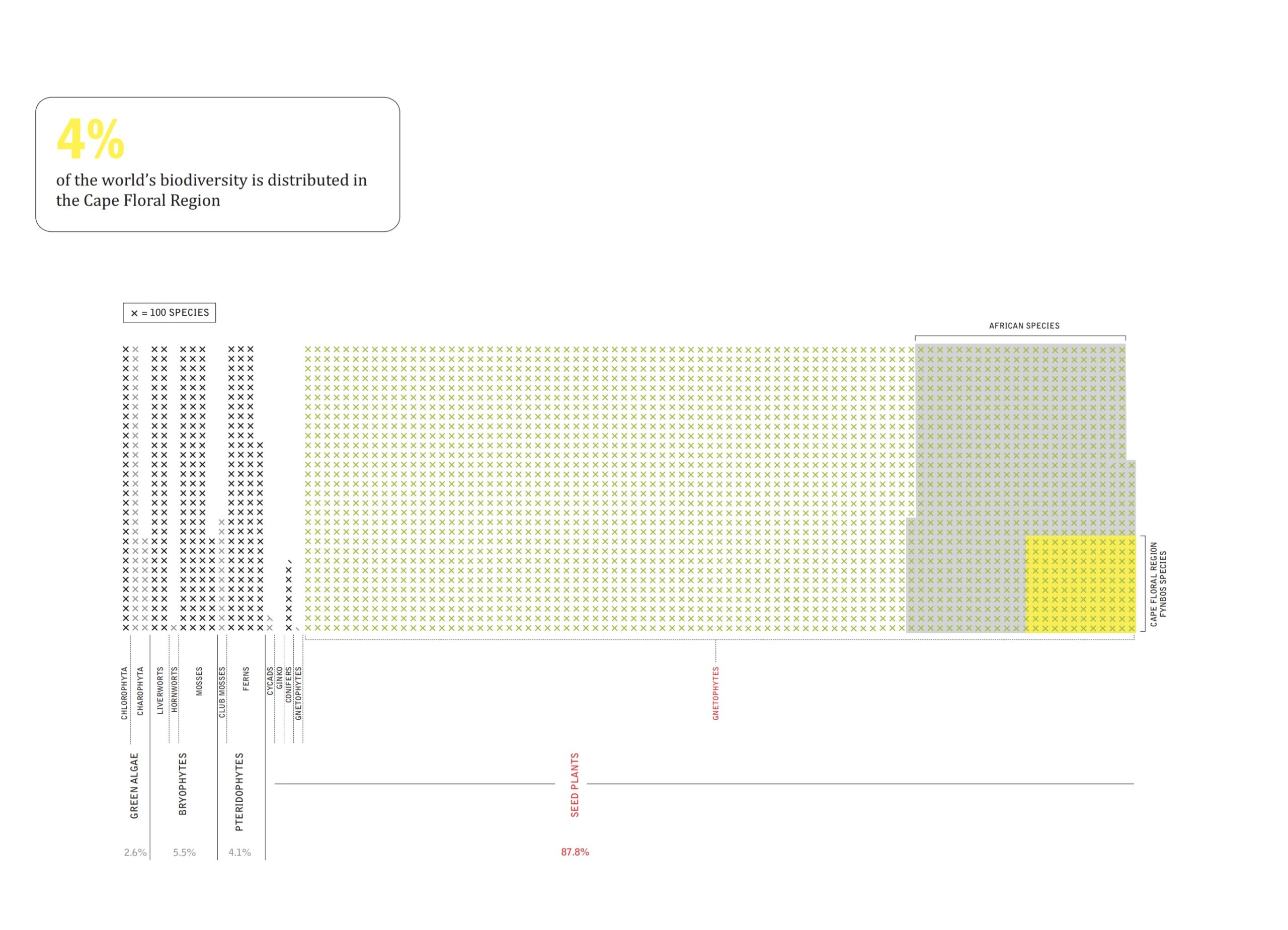 Lindy Roy | SARAH BARTMANN CENTRE OF REMEMBRANCE