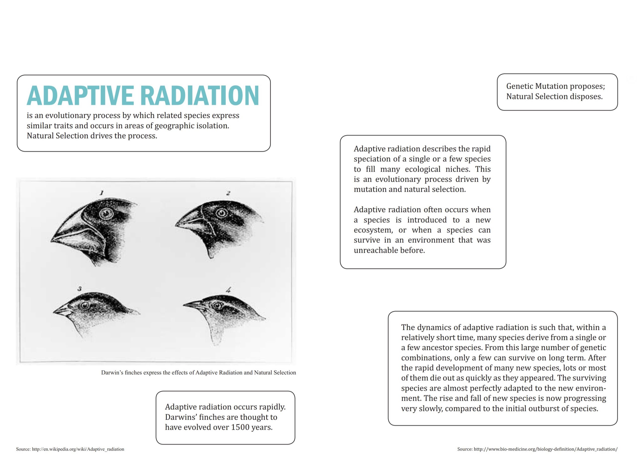 Lindy Roy | SARAH BARTMANN CENTRE OF REMEMBRANCE