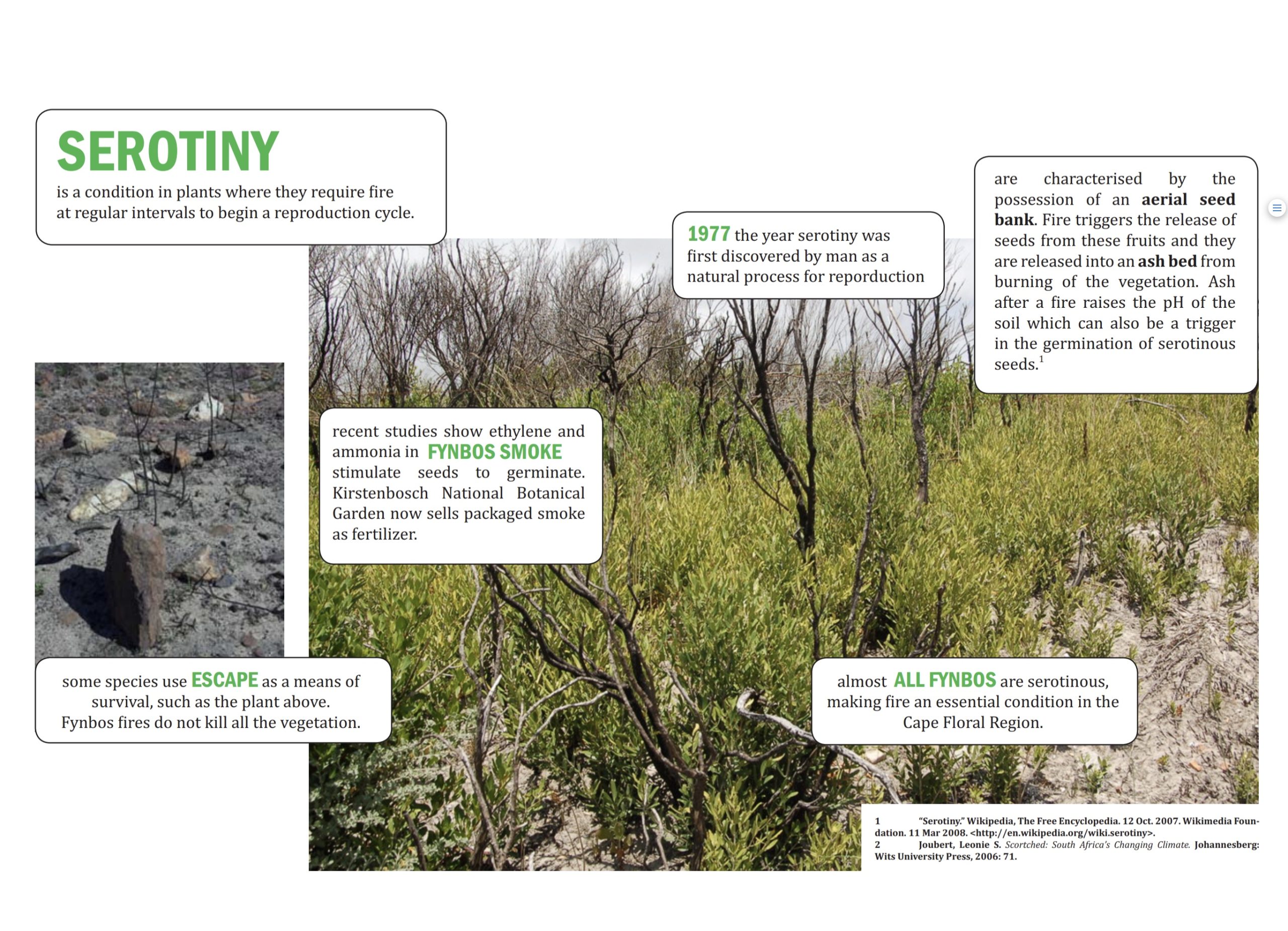 Lindy Roy | SARAH BARTMANN CENTRE OF REMEMBRANCE