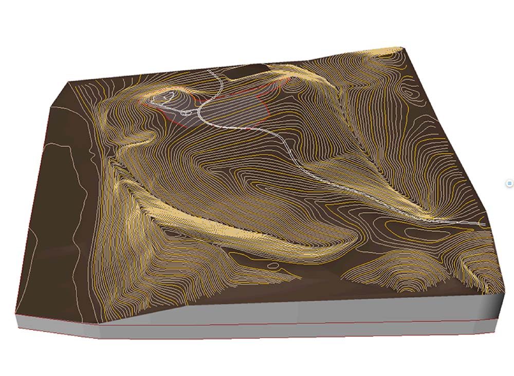 Lindy Roy | SARAH BARTMANN CENTRE OF REMEMBRANCE