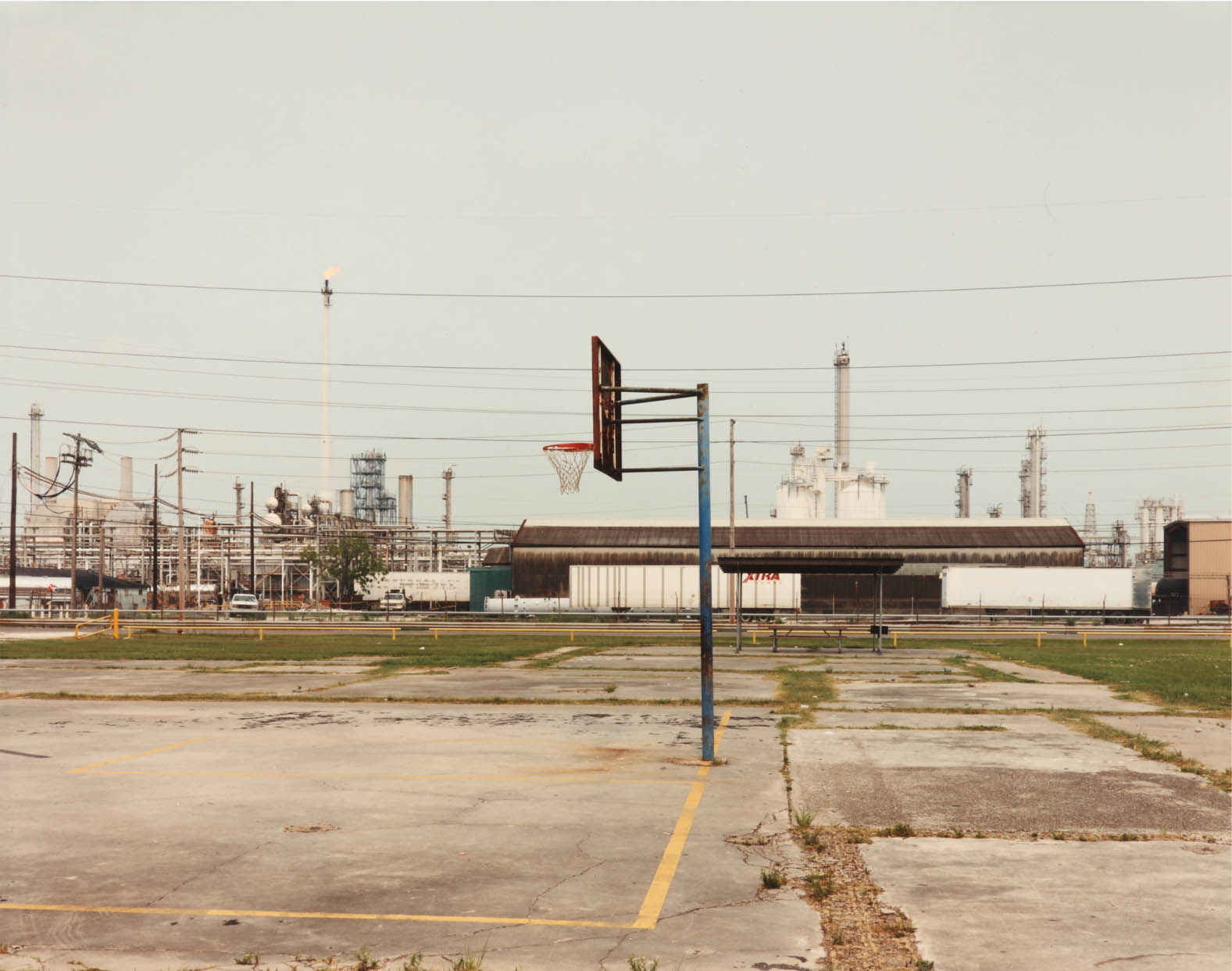 Lindy Roy | CANCER ALLEY