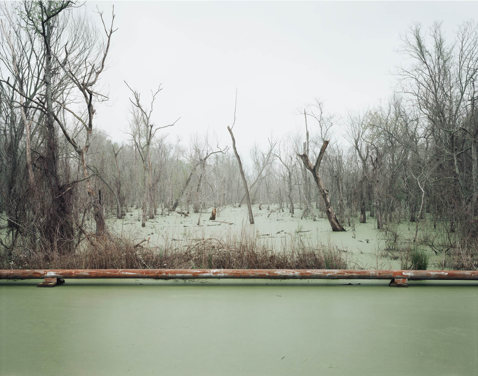 Lindy Roy | CANCER ALLEY