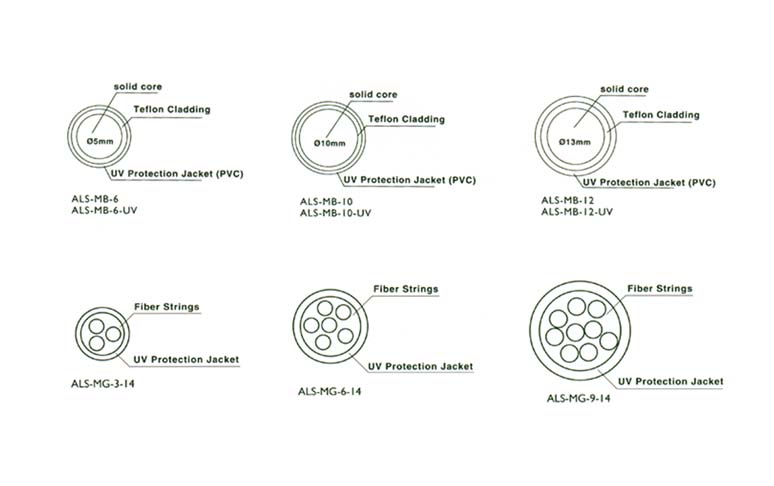 Lindy Roy | NOAH’S