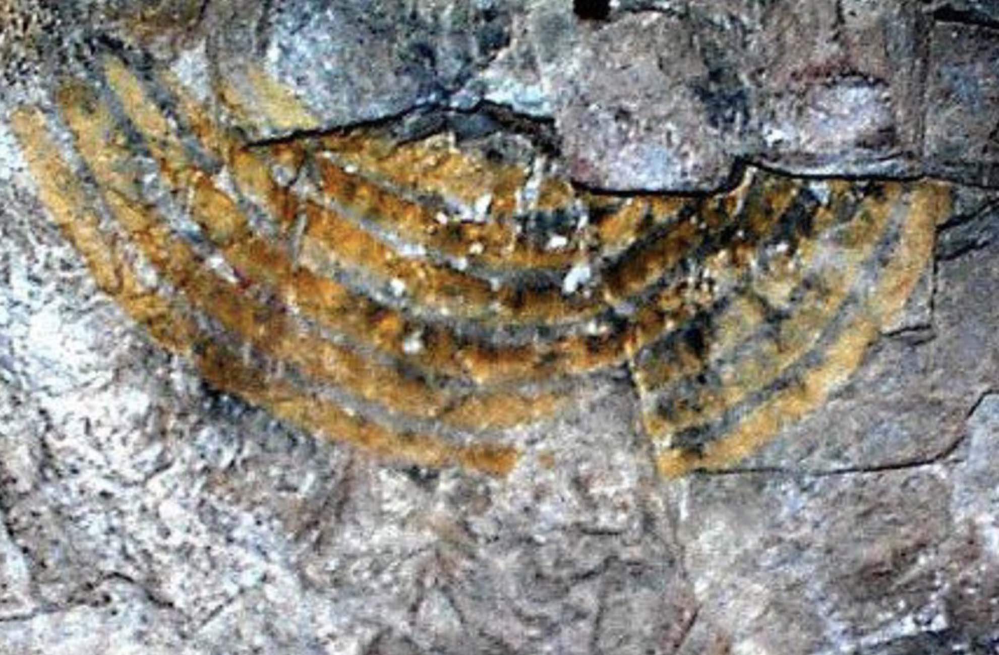 Lindy Roy | SARAH BARTMANN CENTRE OF REMEMBRANCE