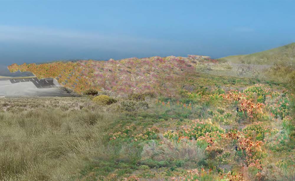 Lindy Roy | SARAH BARTMANN CENTRE OF REMEMBRANCE