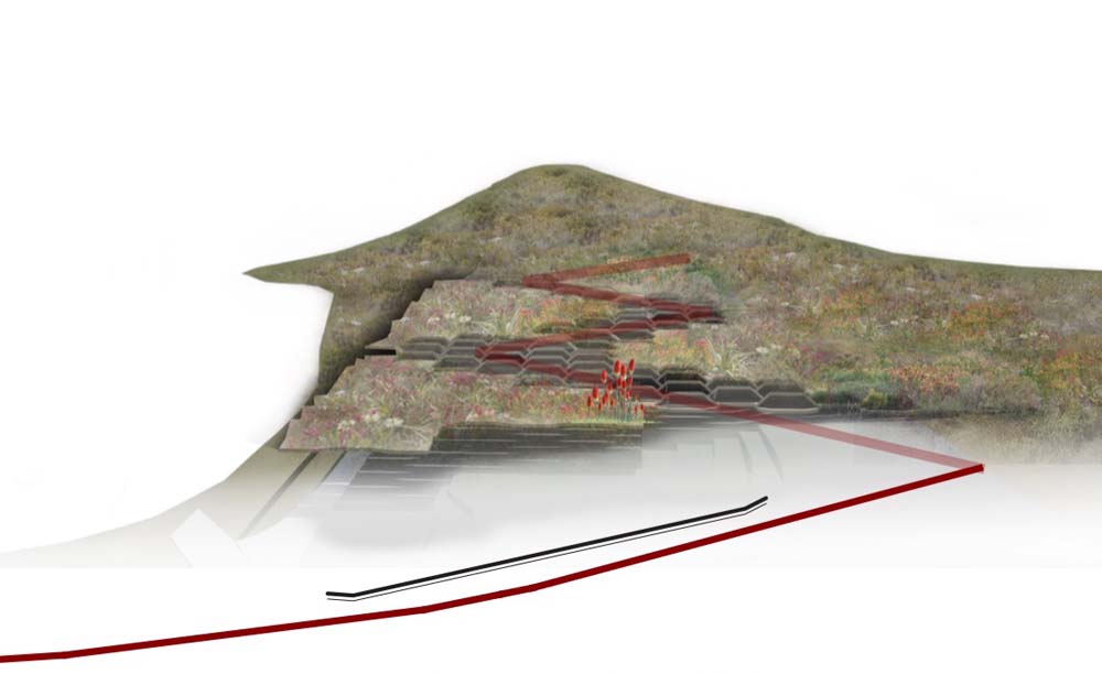 Lindy Roy | SARAH BARTMANN CENTRE OF REMEMBRANCE