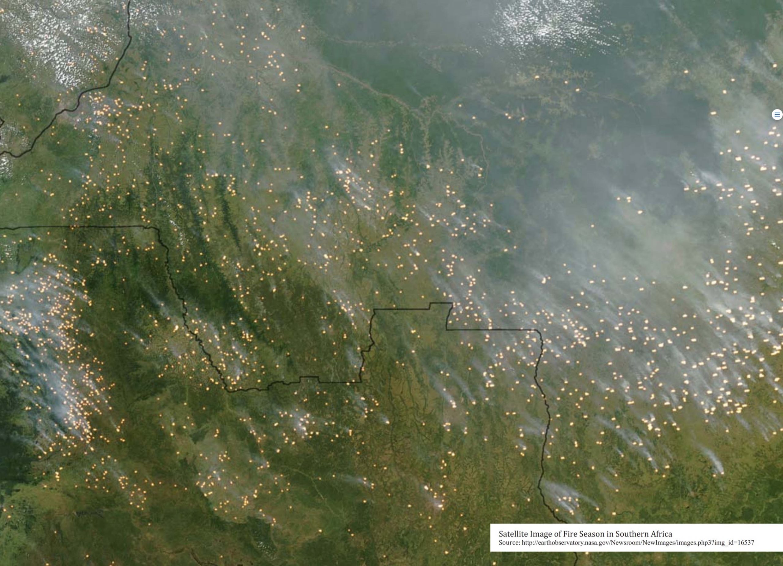 Lindy Roy | SARAH BARTMANN CENTRE OF REMEMBRANCE