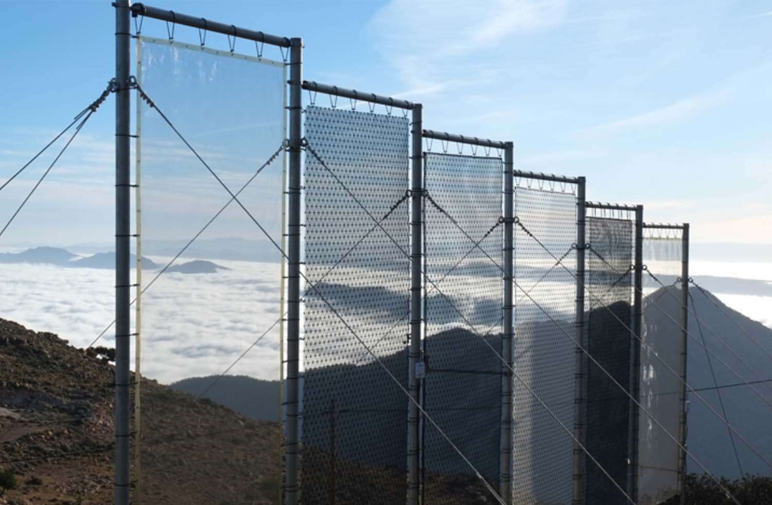 Lindy Roy | TAHAMA STREET INCUBATOR